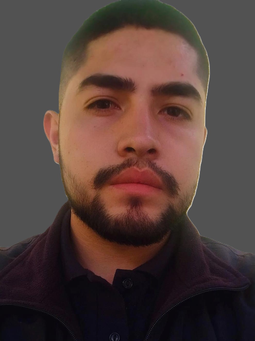 Hoja de Vida - Alexander HERNAN Rivadenira